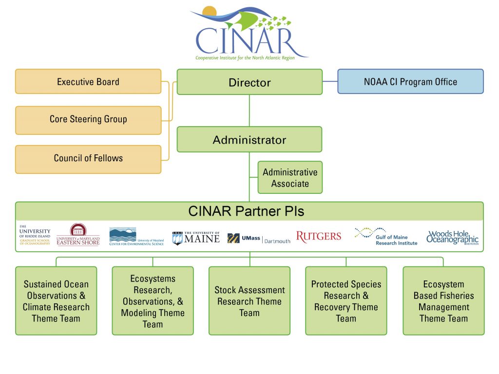 Organization - CINAR